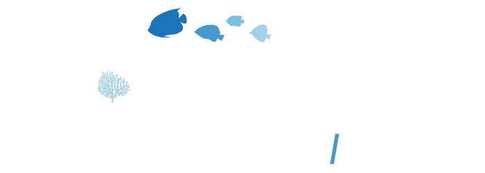 Indo Yaeyamaensis Frogspawn – Frag Orange & Green (Blue Video Inside ...